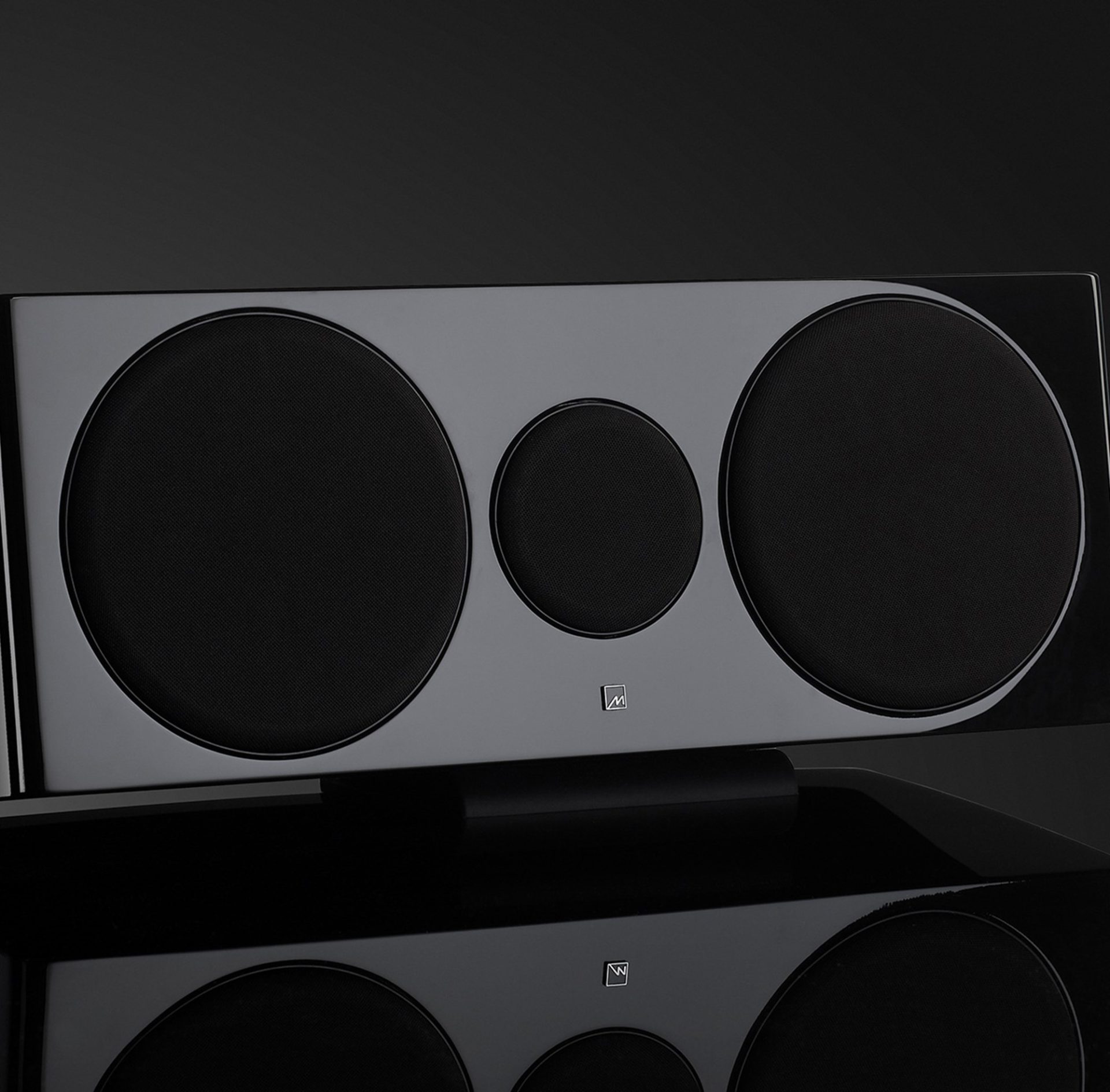 Meridian Loudspeaker - Performance Series - Cogworks Distribution