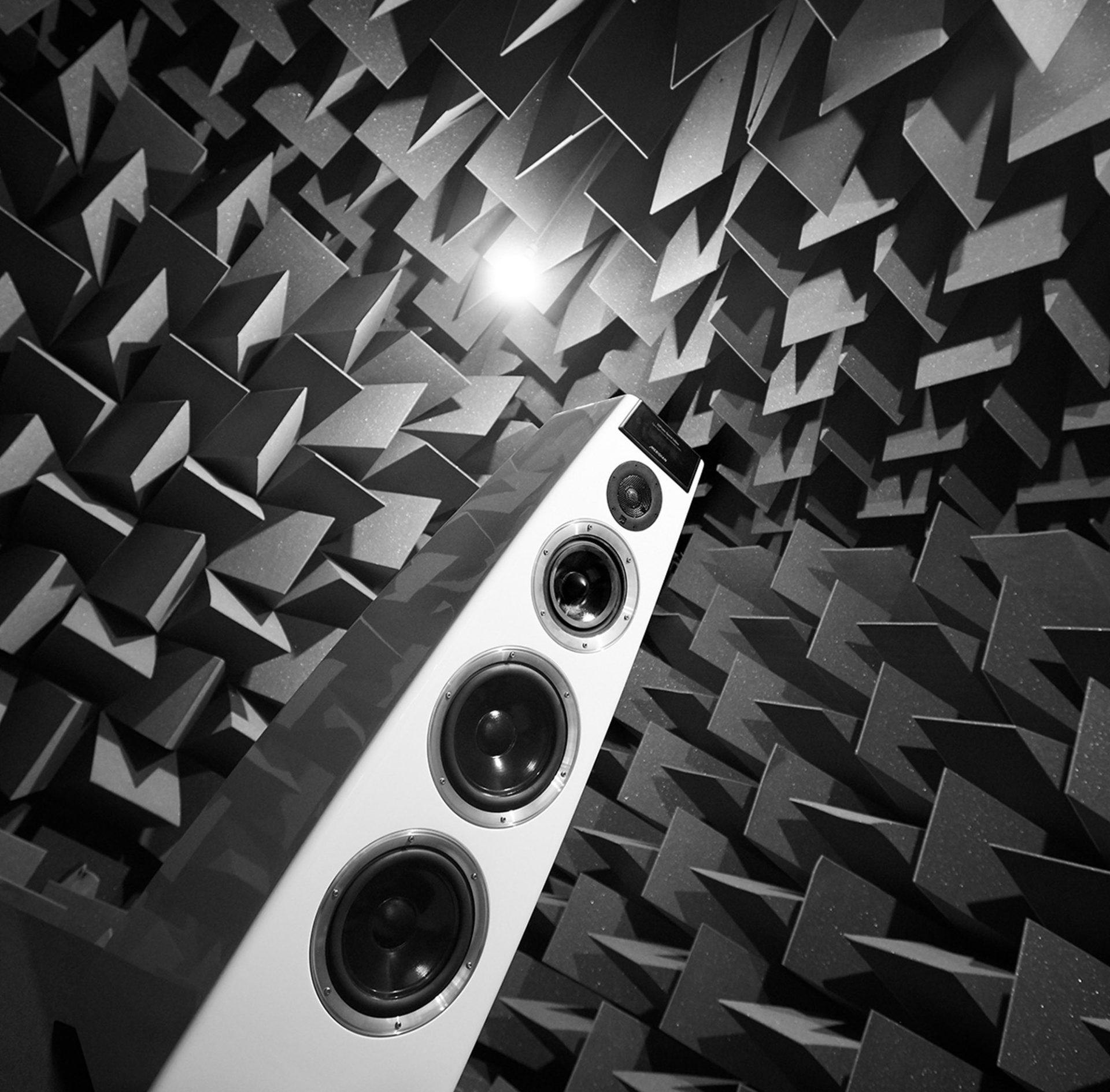 Meridian Loudspeaker - Special Edition - Cogworks Distribution